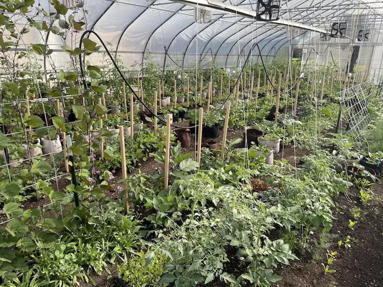 21 Detroit urban farms that will serve you produce fresher than a ...