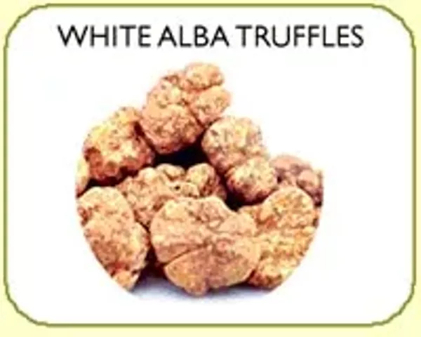 Truffle testing