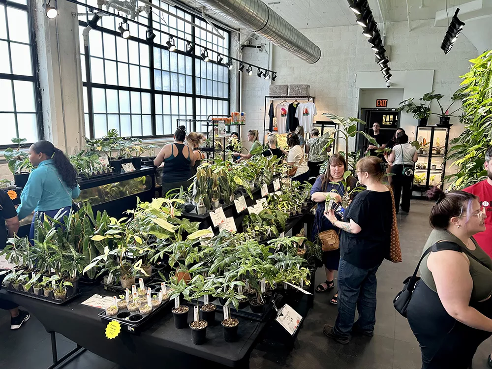 Ferndale’s Plant Swap & Social is the perfect party for houseplant heads